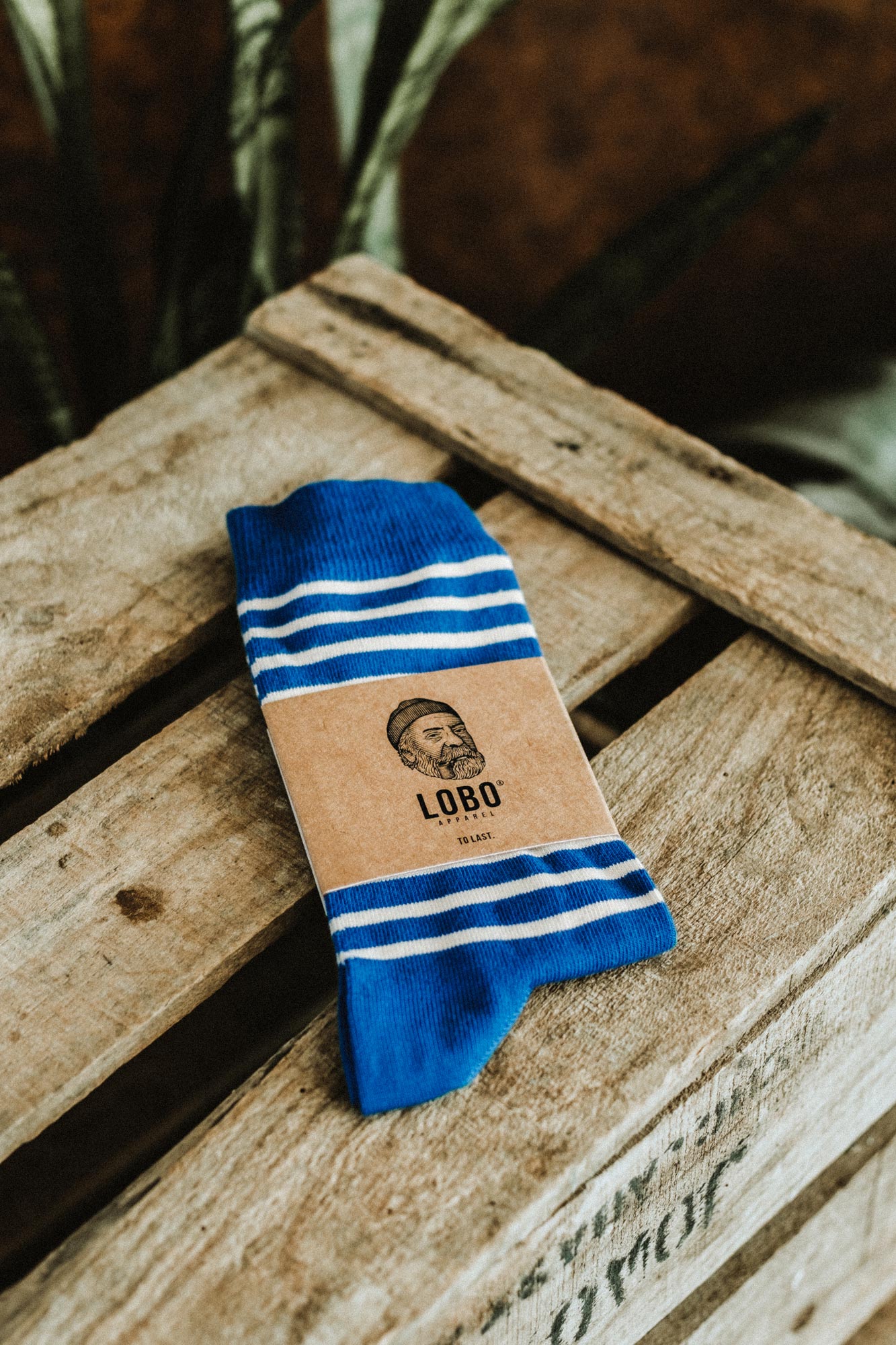 Lobo Blue Stripes Socks - LOBO APPAREL