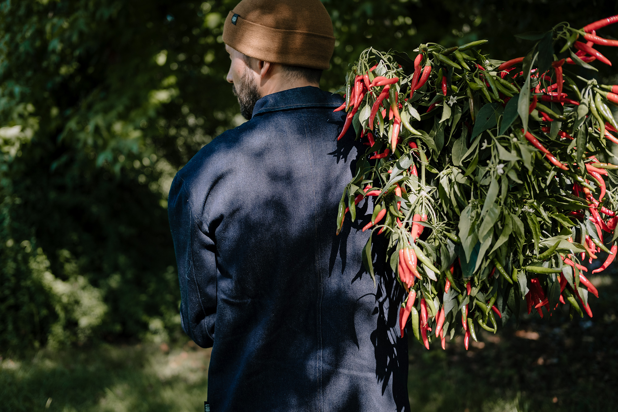 LOBO APPAREL - TO LAST